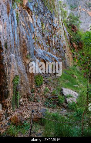 Wet sandstone rock face along the Weeping Rock Trail in Zion National ...