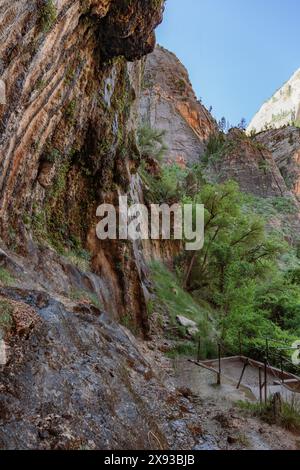 Wet sandstone rock face along the Weeping Rock Trail in Zion National ...
