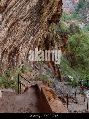 Wet sandstone rock face along the Weeping Rock Trail in Zion National ...