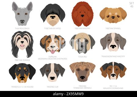 Dog head in alphabet order. All dog breeds. Colour vector design ...