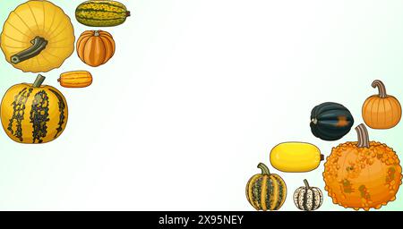 Rectangular banner with types of winter squash. Cucurbita pepo. Fruits ...