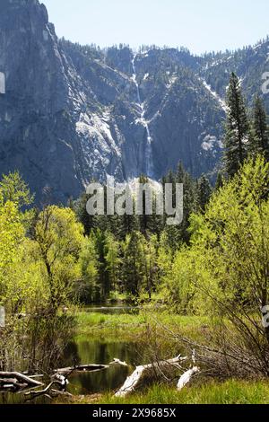 Sentinel Falls (about 2,000 feet), Yosemite National Park, California ...
