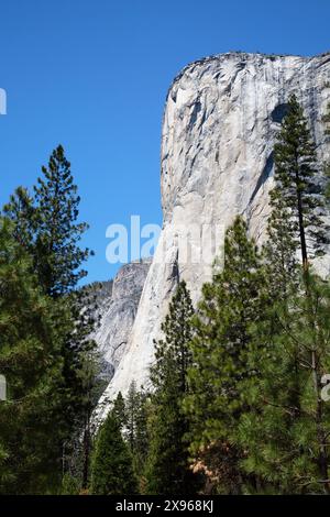 El Capitan, a 3,000 feet vertical rock formation in Yosemite National ...