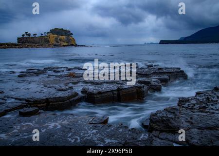 Australia, Tasmania, Eaglehwk Neck, Forestier Peninsula, Tessellated ...