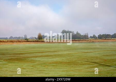 Australian turf farm, lawn grass turf growing on a turf farm in ...