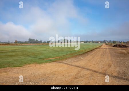 Australian turf farm, lawn grass turf growing on a turf farm in ...