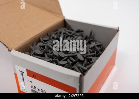 A box of nails for roofing. Roof nails isolated on white background ...