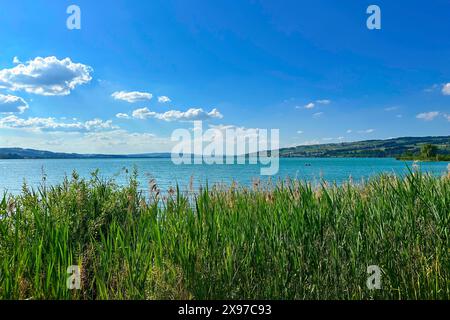 View of Lake Sempach with blue sky, Sempach, Switzerland Stock Photo ...