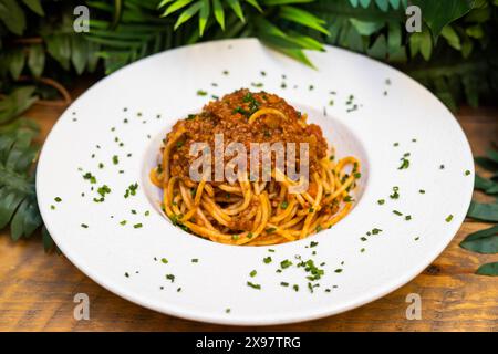 A plate of spaghetti with bolognese sauce ideal for a children's menu ...