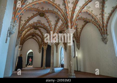 Europisches Hansemuseum An Der Untertrave Lbeck