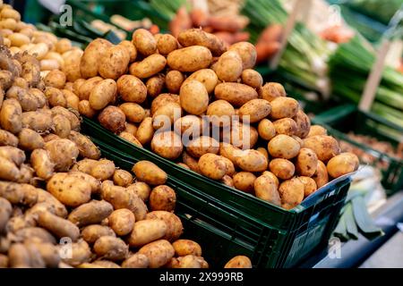 Oldenburg, Germany. 30th May, 2024. The defendant sits next to her ...