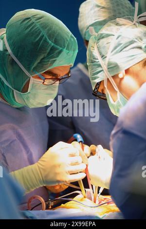 Hip replacement surgery, Orthopedics and Trauma surgery, Surgeon ...