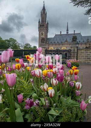 The Peace Palace, the seat of the International Court of Justice Stock ...