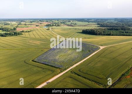 An overview of a vibrant green field from above Stock Photo - Alamy