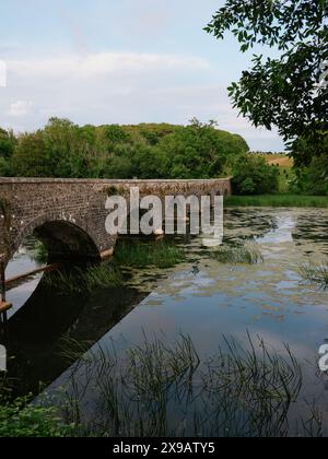 The summer evening lake and Eight Arch Bridge landscape of Stackpole ...