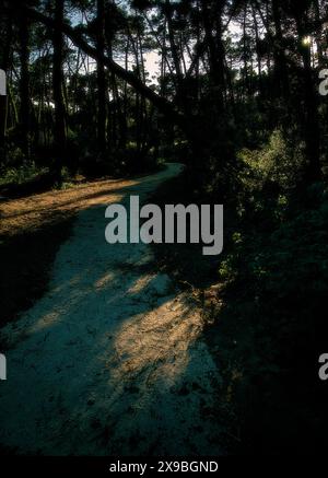 The area near Punta Marina Terme, Italy Stock Photo - Alamy