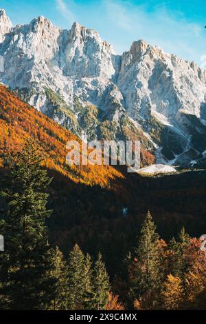 A breathtaking view of the Julian Alps in Slovenia showcases lush green ...