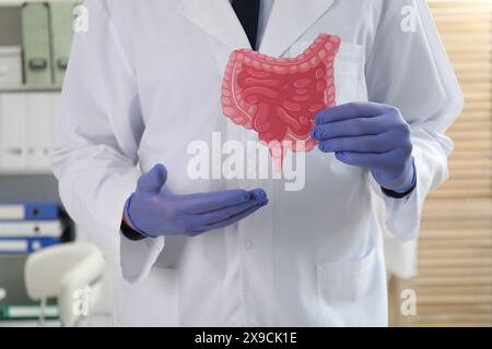 Doctor showing paper intestine cutout on grey background, closeup Stock ...