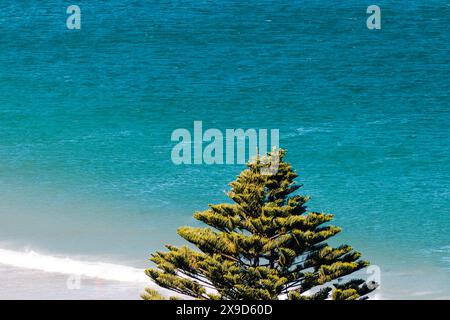 detail of Kingston Beach from the hills above it, popular destination ...