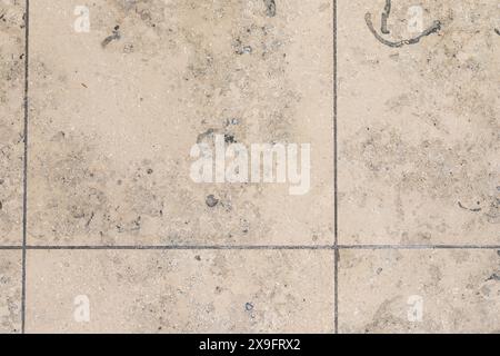 Marbleized limestone beige famous Jurassic marble. The texture of the ...