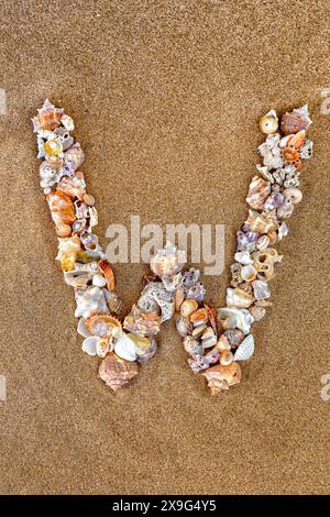 Letter A made with sea shell isolated on white background. Summer ...