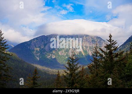 Mountains in the Chilkoot Trail National Historic Site in British ...