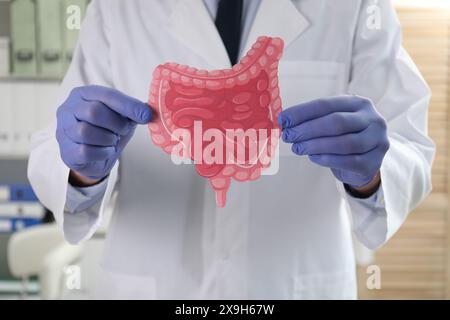Doctor with paper intestine cutout in clinic, closeup Stock Photo - Alamy