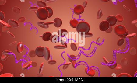 Lyme disease with infected blood cells Stock Photo - Alamy