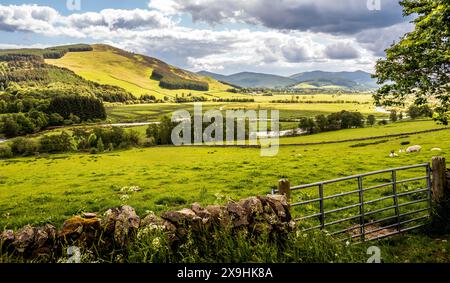 The Tweed Valley near Broughton in the Scottish Borders Stock Photo - Alamy