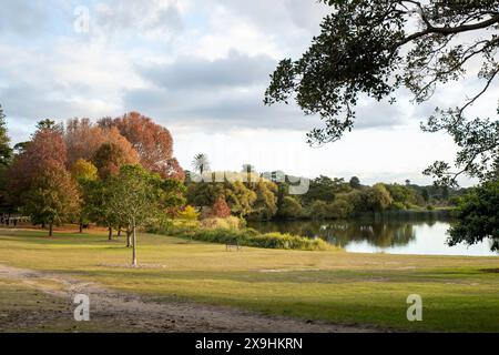 Autumn in Centennial Park in Sydney Australia Stock Photo - Alamy