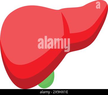 Hepatology, liver health care and detox vector illustration. Cartoon ...