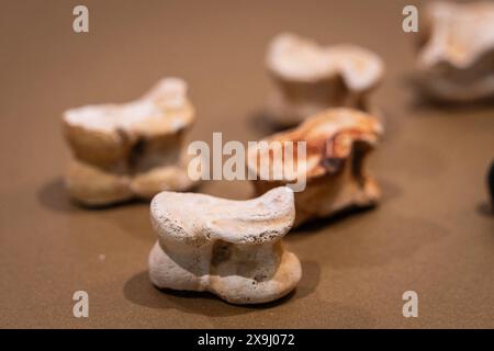 bone boards used for playing, Necropolis of Piquía, Arjona, 5th-1st ...