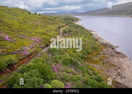 Kinloch Hourn Scotland Loch Quoich mountains and mist yellow gorse and ...