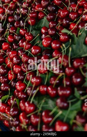 fresh young cherries on the counter of a Turkish bazaar Stock Photo - Alamy