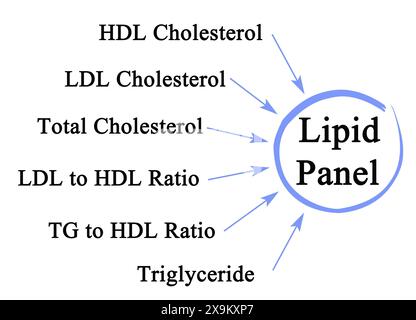 what Parameters Are Shown in Lipid Panel Stock Photo - Alamy