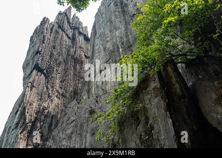 Explore Yana Caves in Karnataka, India—a natural wonder of limestone ...