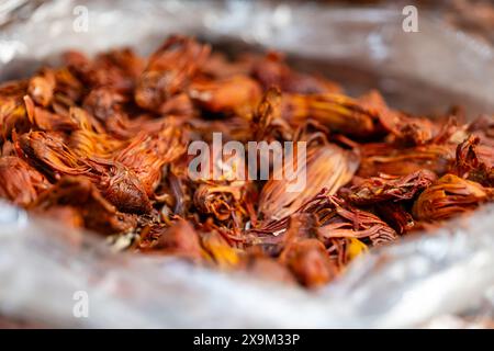 Close-up view of Jathipathri (Mace spice) in bulk, showcasing its ...