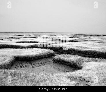 Cape Cod Salt Marshes Stock Photo - Alamy