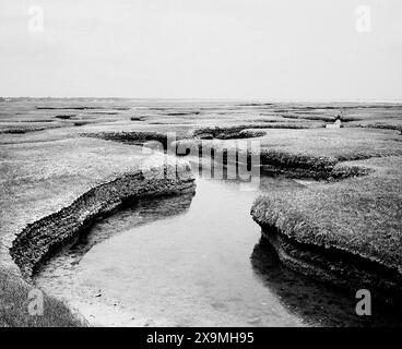 Cape Cod Salt Marshes Stock Photo - Alamy