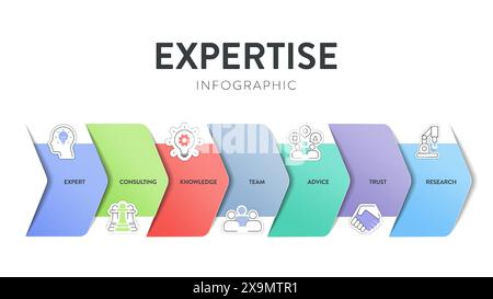 Expertise framework infographic diagram chart banner with illustration ...