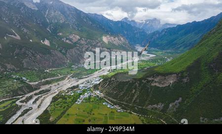 Nagqu, China's Xizang Autonomous Region. 9th June, 2024. Black-necked ...