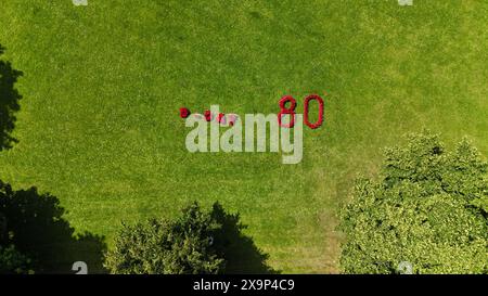 An aerial view of a memorial tribute consisting of poppies in Braywick ...