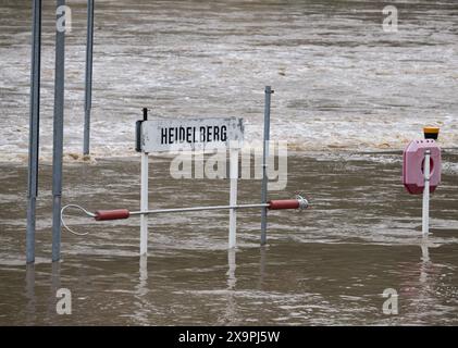 Heidelberg, Germany. 02nd June, 2024. The Neckar has burst its banks ...