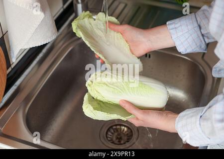 Woman washing fresh chinese cabbage under tap water in kitchen sink ...