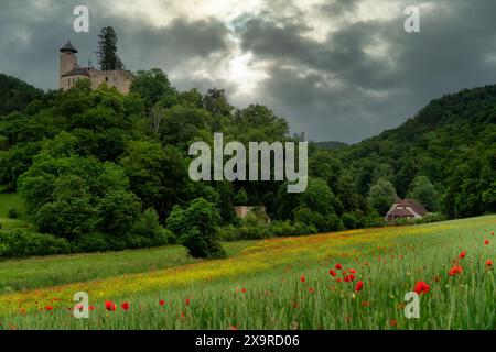Switzerland, Arlesheim, Baselland, Baselbiet, Birseck, Birseck Castle ...