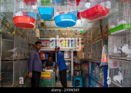 Pet lovers at a bird shop in the Katabon Pet Market in Dhaka ...