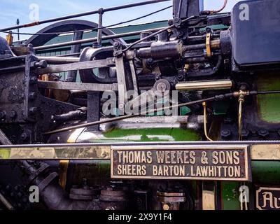 Thomas Weekes and Sons Sheers Barton Lawwhitton Green and gold coloured ...