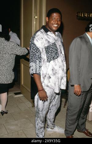 Forest Whitaker Circa 1980's Credit: Ralph Dominguez/MediaPunch Stock ...