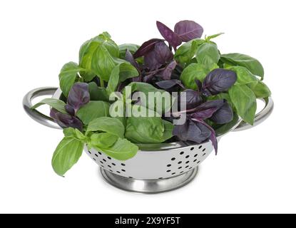 Metal colander with fresh basil leaves isolated on white Stock Photo ...
