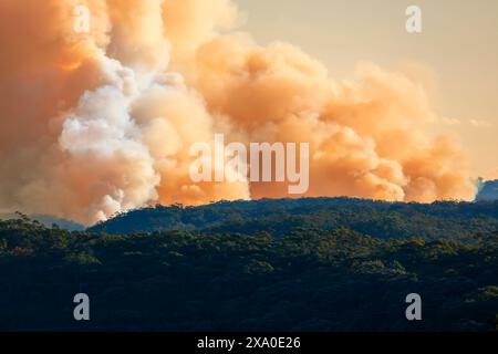 Photograph of controlled bush fire hazard reduction burning by the ...
